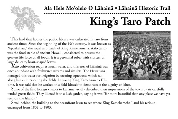 25-Kings_Taro_Patch | Hoʻokuleana LLC