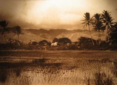 Palolo-Valley-from-the-back-of-Waikiki-Hawaii-ca.-1910-400 ...