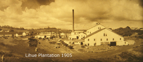 LihuePlantationMill-1905-468 | Hoʻokuleana LLC