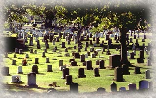 Oahu-cemetery | Hoʻokuleana LLC